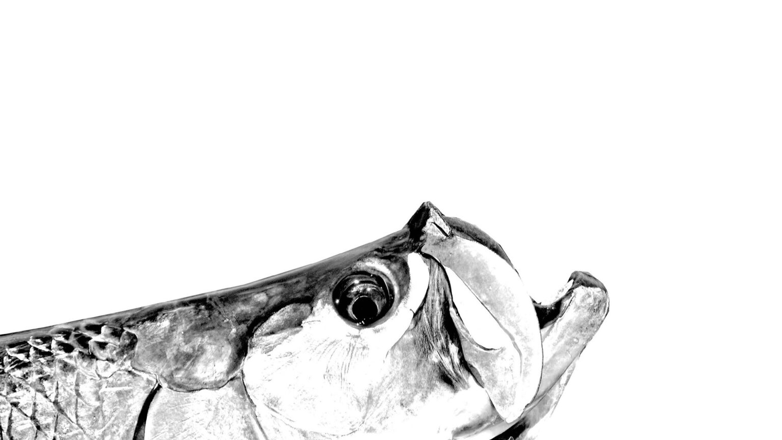 2026 Pathfinder 2400 Open - Pathfinder Boats